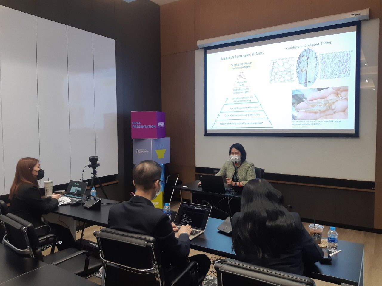 MUSEF 2022 – MUSEF